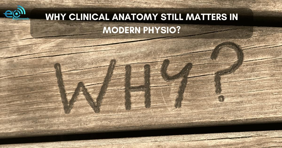 Why Clinical Anatomy Matters in Physiotherapy
